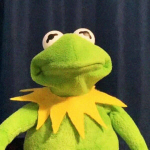 Kermit the Frog PFP - Memes PFPs for Discrod, TikTok, Instagram