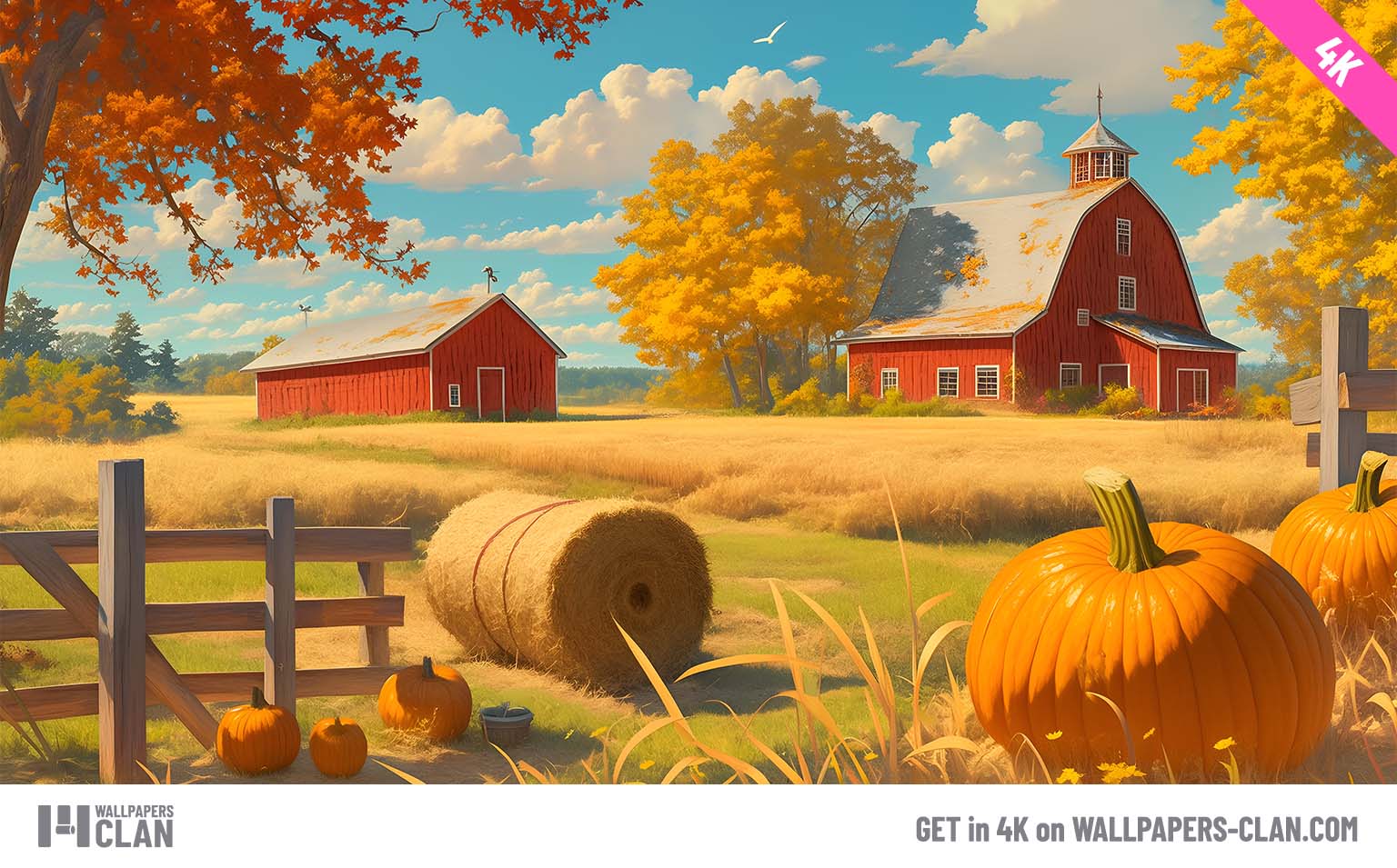 Rustic Barnyard with Pumpkins Autumn Scene Wallpaper 4K for PC