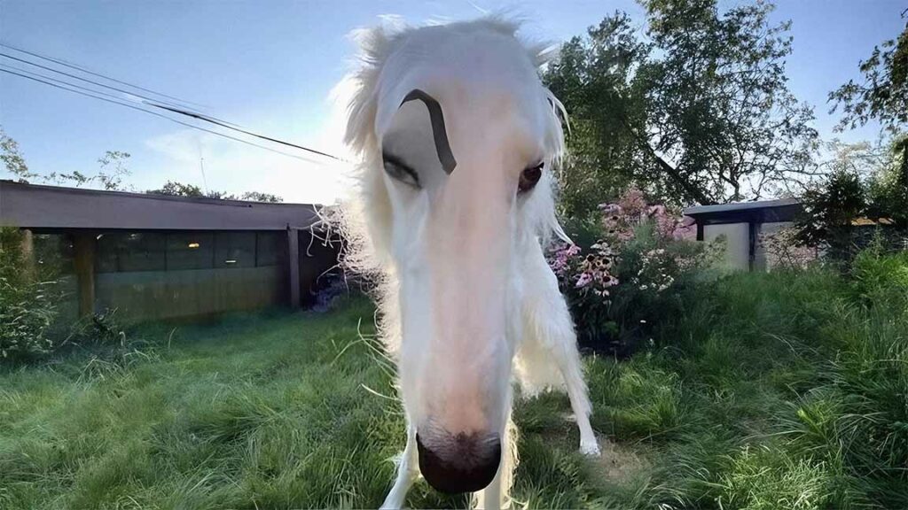 Blob Goofy Ahh Desktop Wallpaper - Unique Desktop Backgrounds