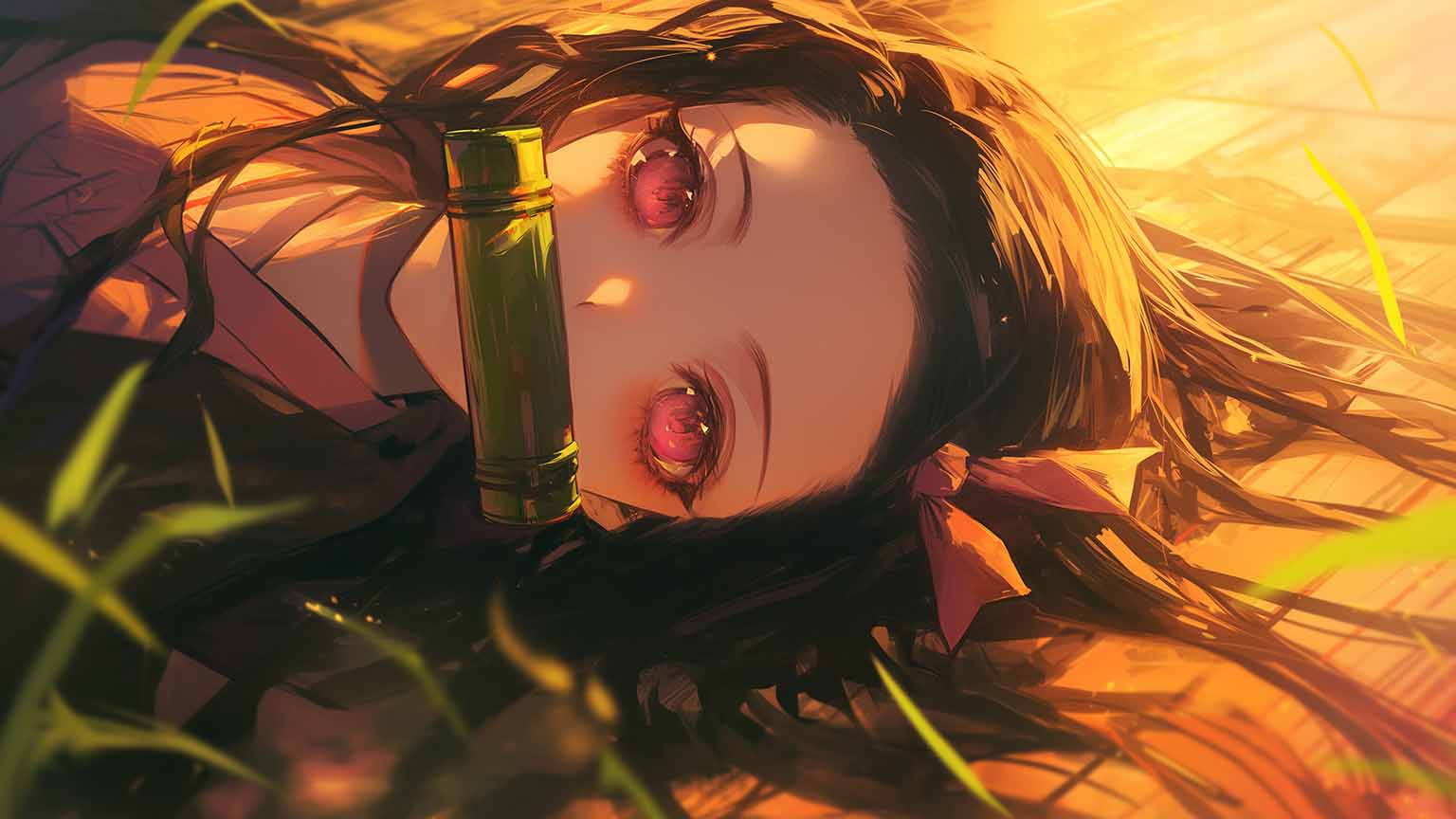 Demon Slayer Nezuko Sleeping in the Sun Desktop Wallpaper