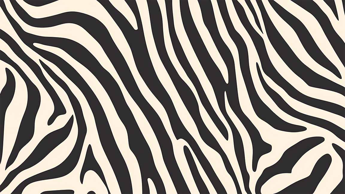 Zebra Pattern Black & White Print Desktop Wallpaper - 4K Wallpaper