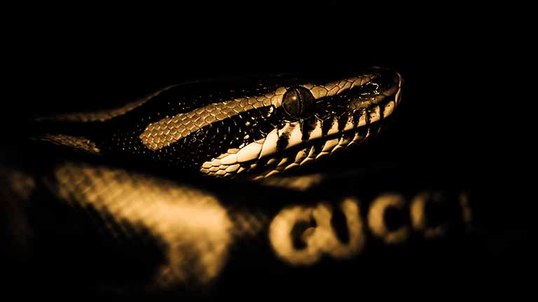 Gucci Snake Wallpaper Iphone