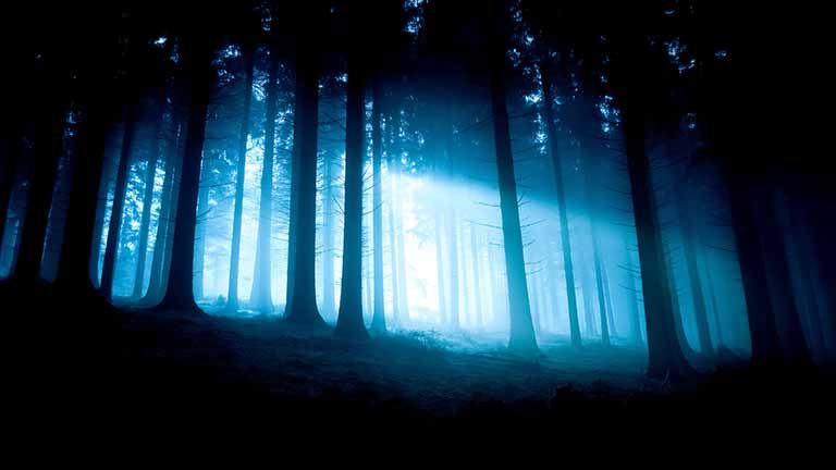 Free Blue Mist Forest Eerie Light Rays 4K Desktop Wallpaper