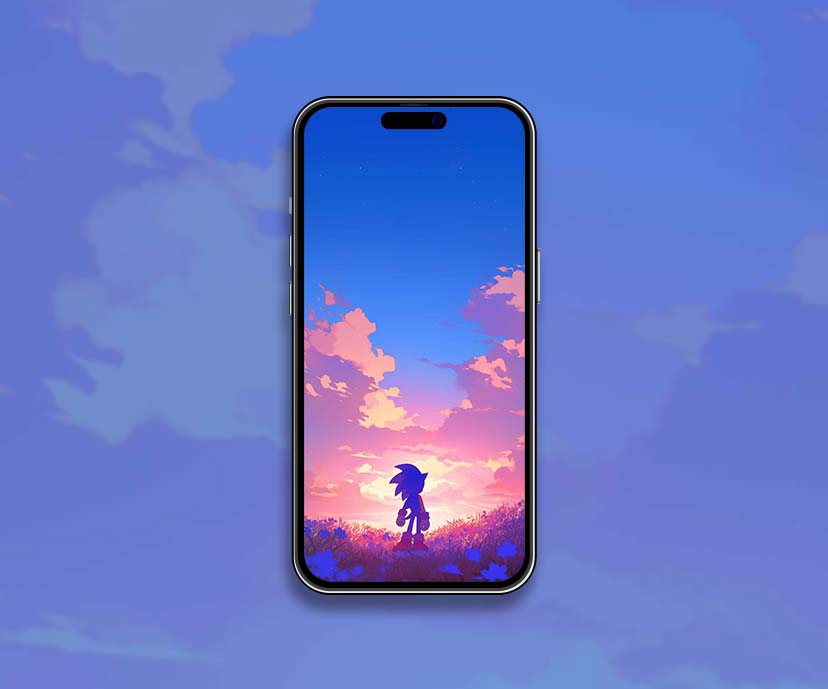 Sonic Sunset Beautiful Style Wallpapers - Vintage HD Wallpapers