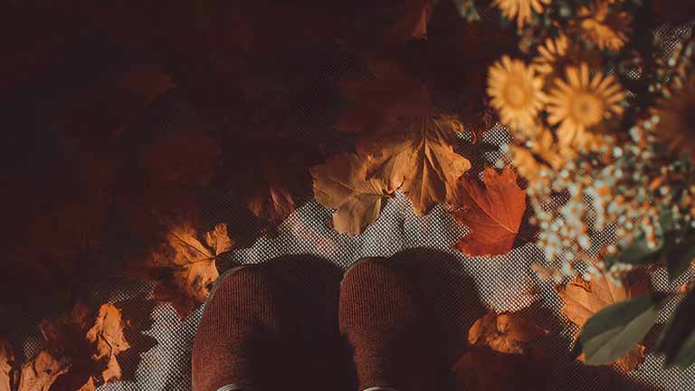 Autumn Fall Season Feet Slippers on Leaves Desktop Wallpaper