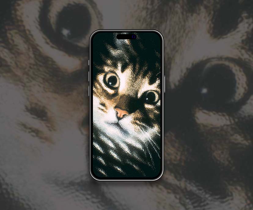 Distorted Cat Face Against Glass Wallpapers - Animals Wallpapers