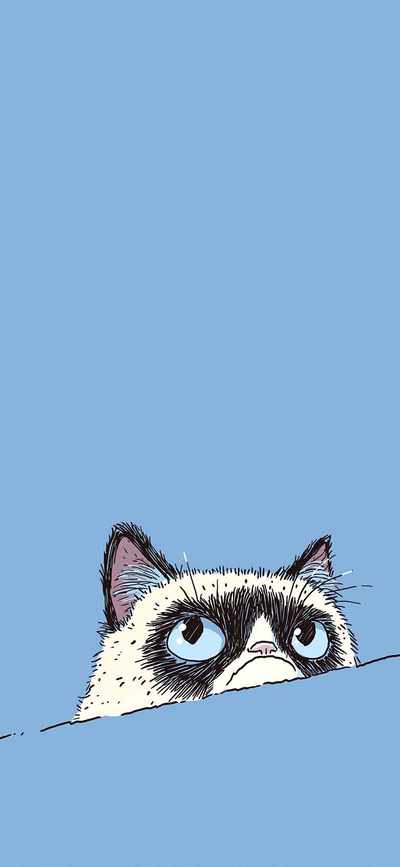 Grumpy Cat Peeking Minimal Blue Wallpapers - Phone Wallpapers
